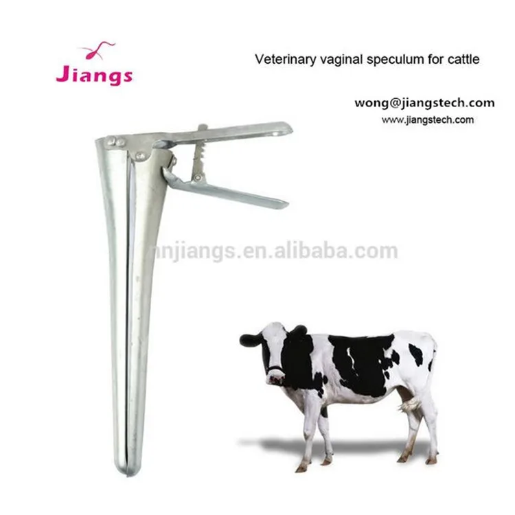 Peralatan Dokter Hewan Spekulum Vagina, untuk Sapi Domba dan Kambing ...