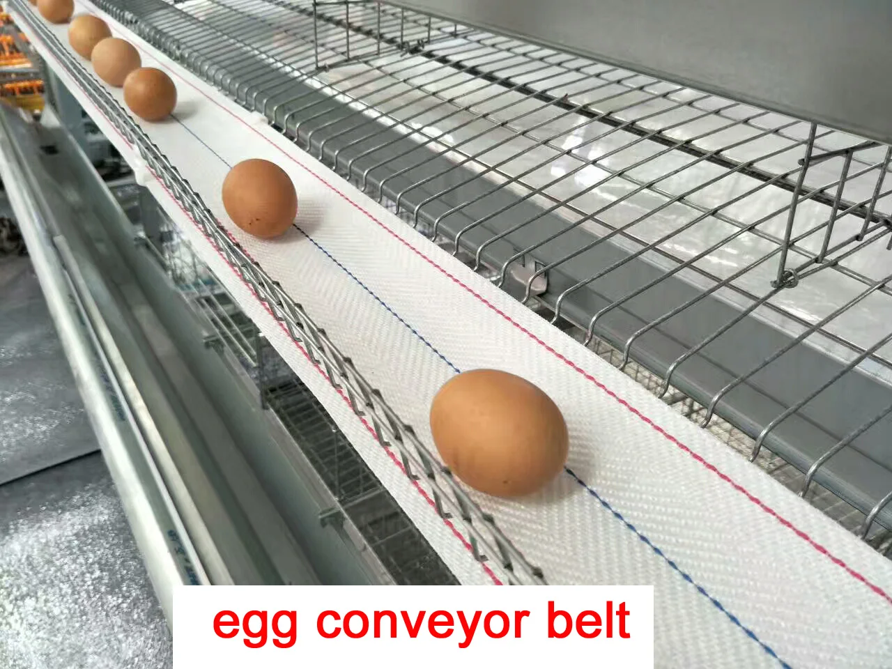 Polypropylene Woven Egg Collection Conveyor Belt - Sinoconve