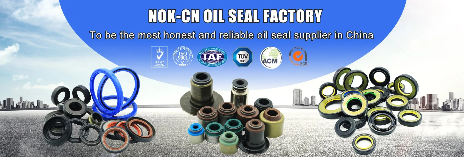 Xingtai Nok-Cn Metal Seal Manufacturing Co., Ltd. - Oil Seal, O Ring