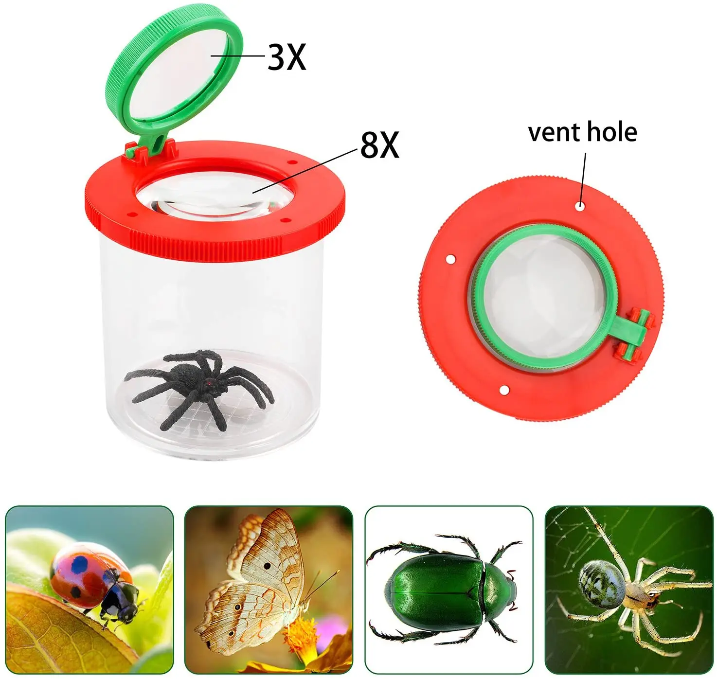 Insect Bug Viewer Magnifier Jar with Plastic Spider 3X/6X