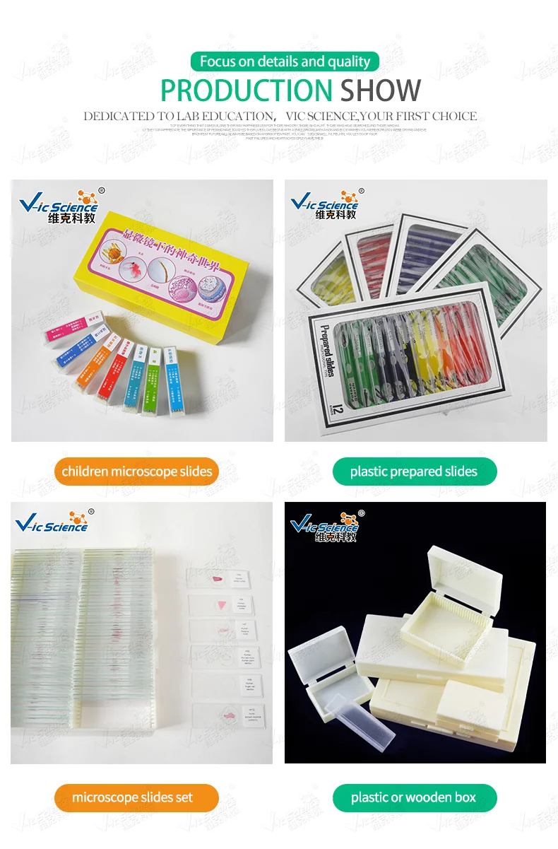 Histology Slides for Medical Students - Epithilial Tissue