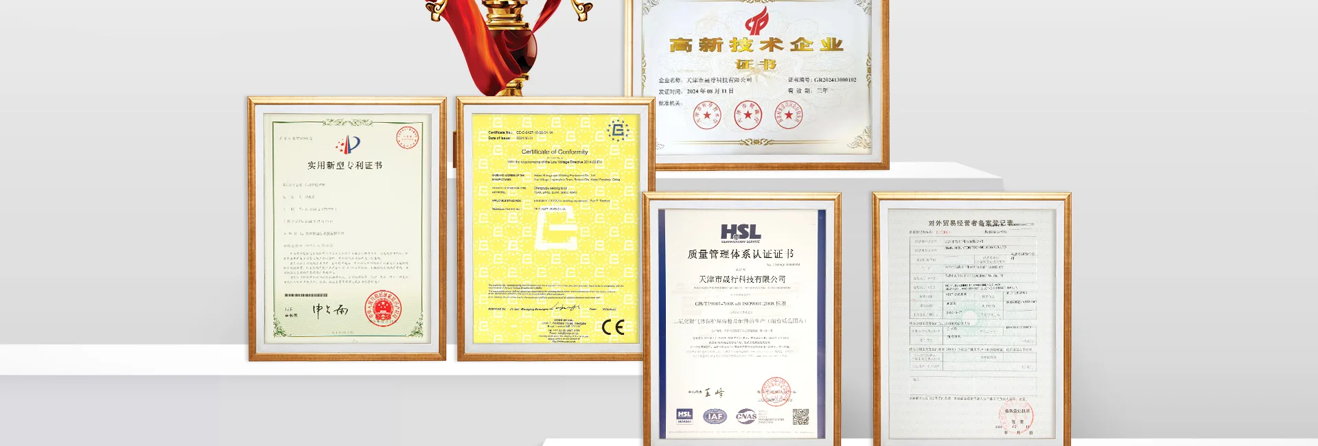 Company Overview - Tianjin Sunton Technology Co., Ltd.