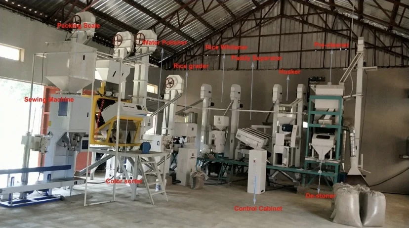 Parboiled Steamed Rice Production Equipment - High Yield