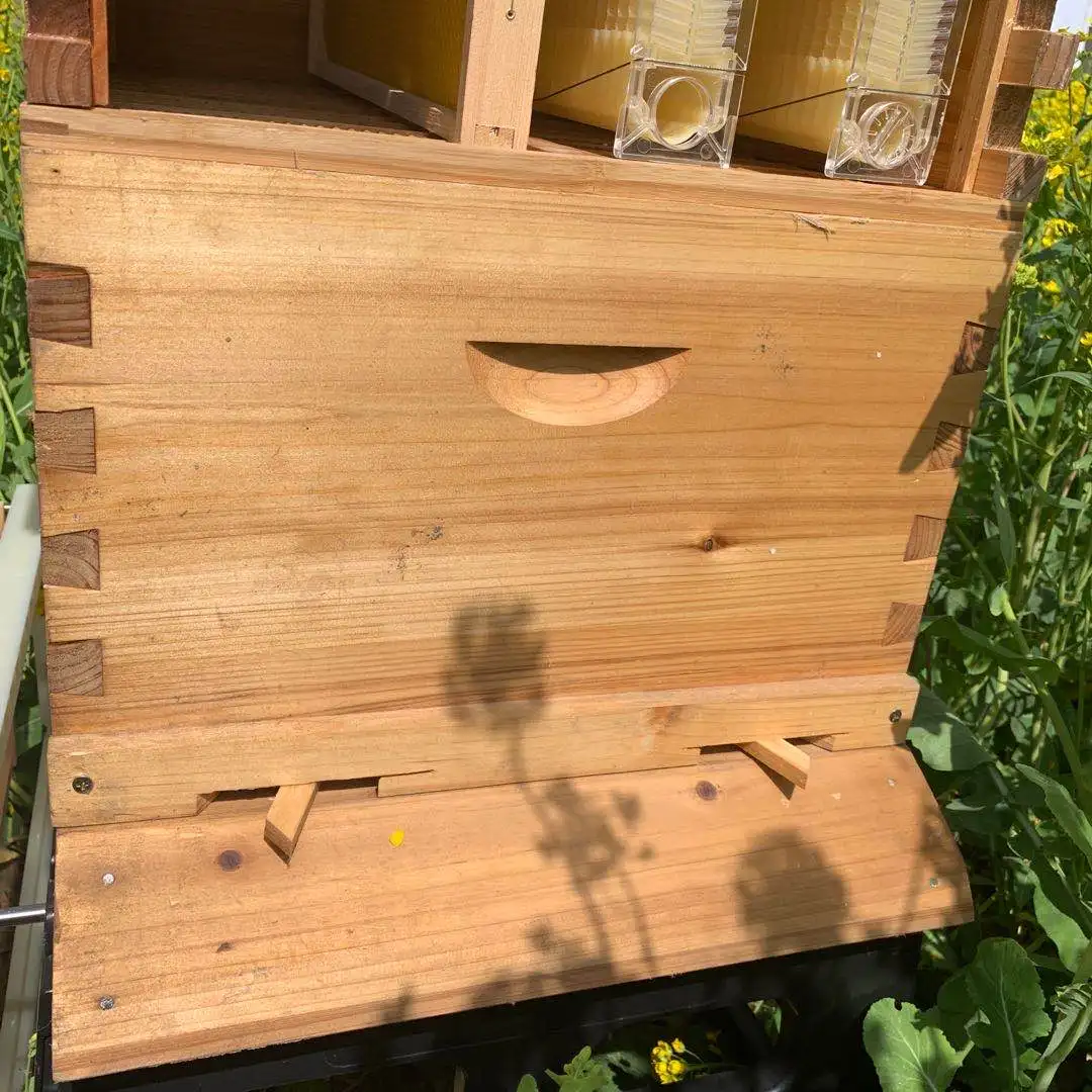 High Quality Artesian Honey Beehive With Good Price Automatic Bee Hive ...