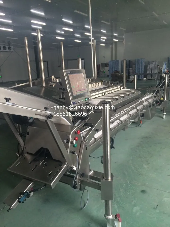 Automatic blueberry sorting machine, blueberry sorter machine,blueberry harvester processing ...