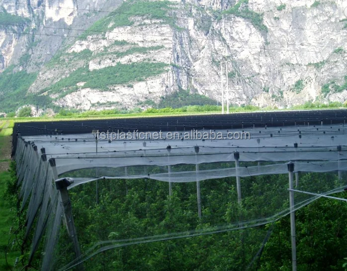 Fruit/crops Protection Net From Hail Damage For Gardens Hdpe Hail Guard ...