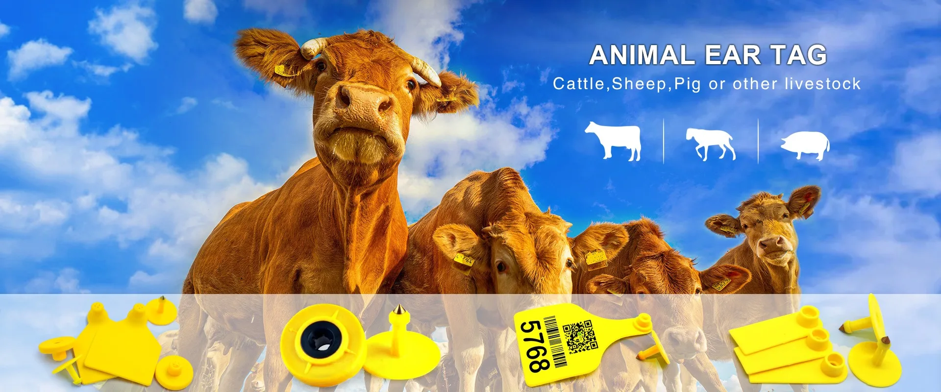 Shenzhen Chipbond Technology Co., Ltd. - Access Control Card Reader ...