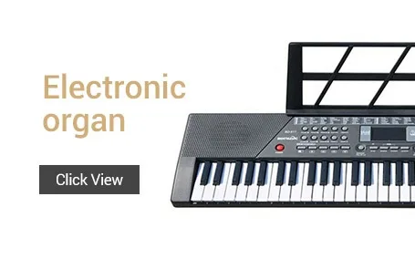 Company Overview - Hangzhou Aierke Musical Instrument Co., Ltd.