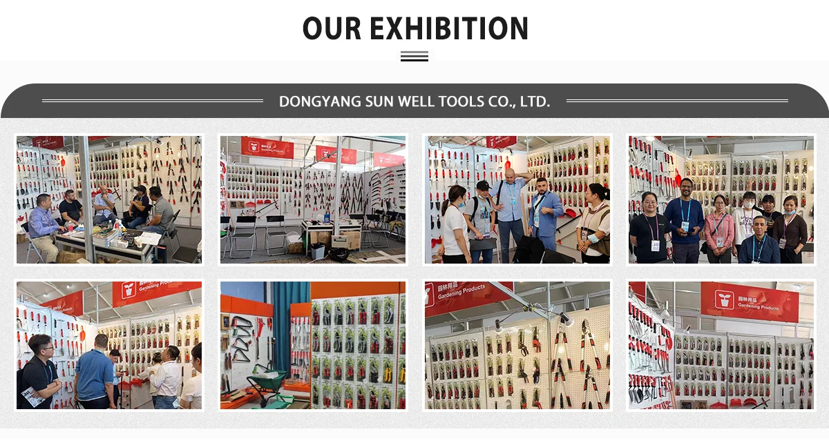 Company Overview - Dongyang Sun Well Tools Co., Ltd.