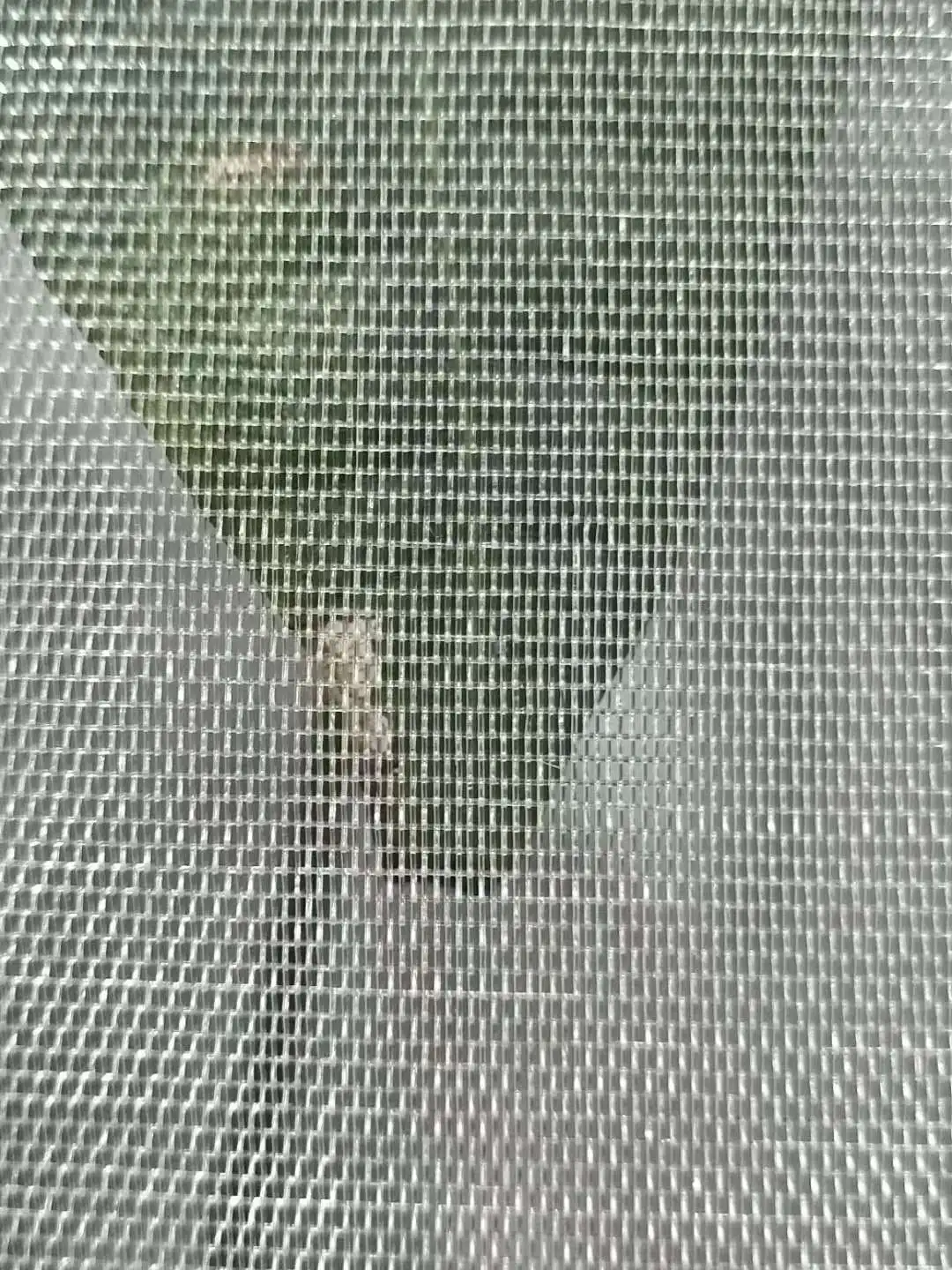 50 Mesh Anti Insect Netting for Farm Use - Durable & UV Stabilized