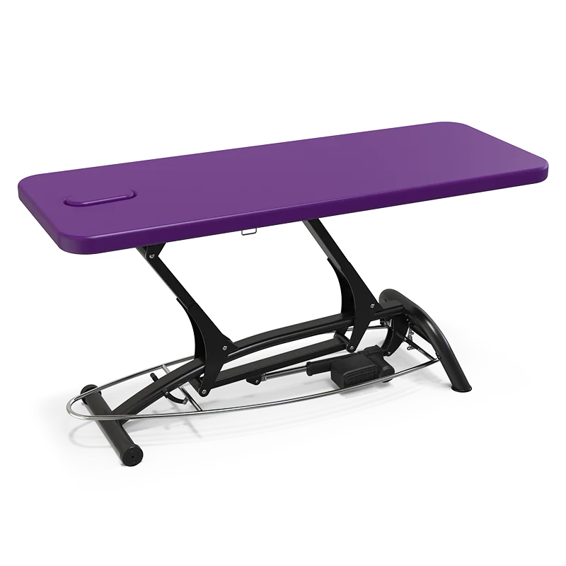 Goodwill Electric Therapy Table Portable Physical Therapy Bed ...