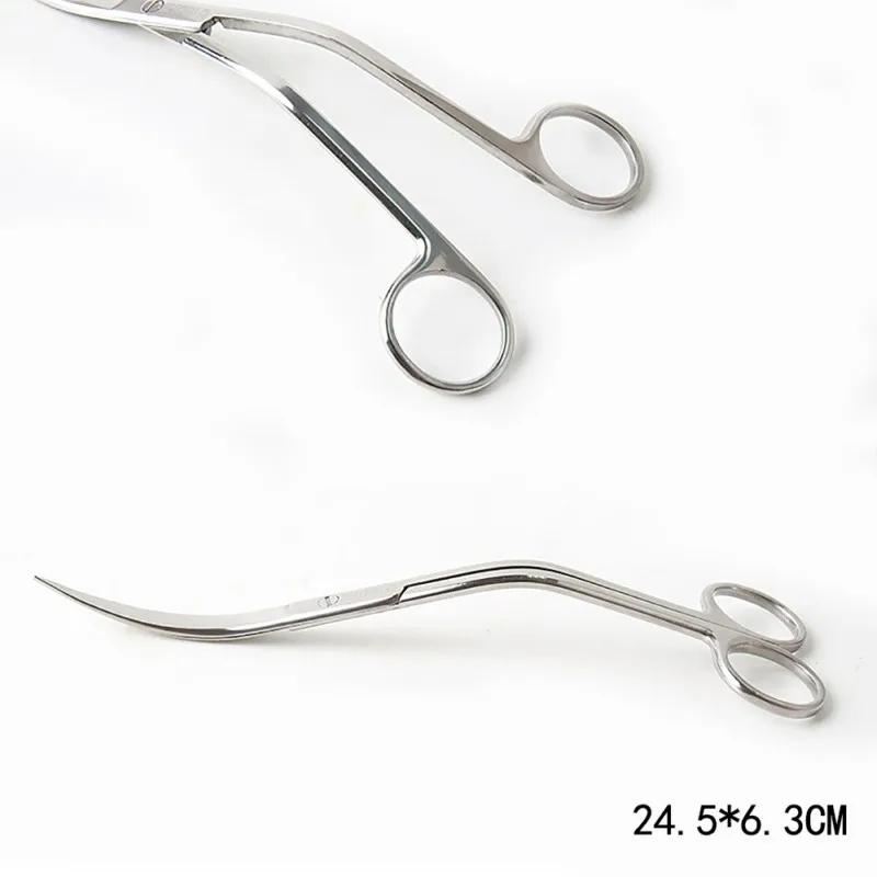 Aquarium Scissors - Precision Tools for Tank Maintenance