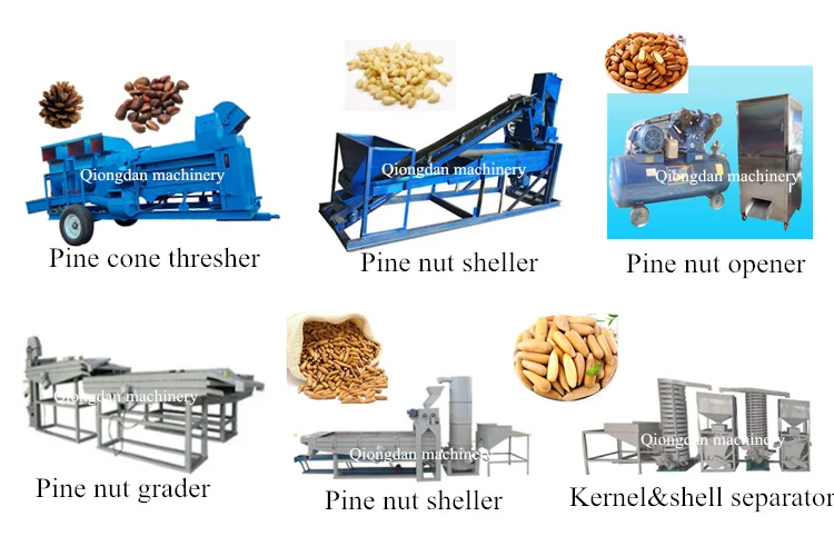Pine Nut Sheller and Sorting Machine - Efficient & Durable