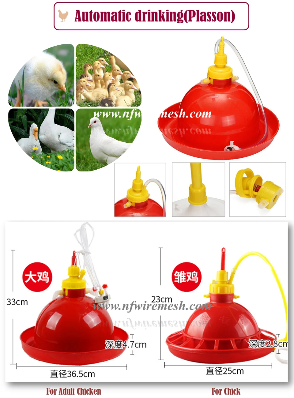 Chicken Automatic Plasson Bell Drinker for Poultry Farms