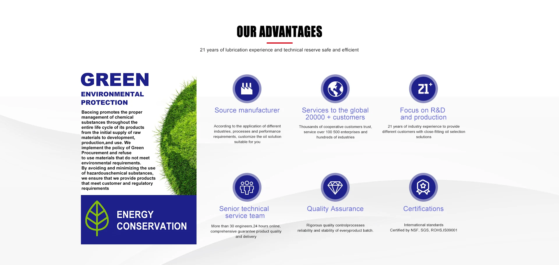 Company Overview - Dongguan Baoxing Lubricating Oil Co., Ltd.