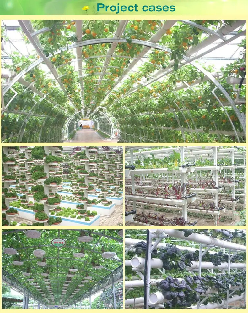 Hydroponic Container Growing Systems Foam Sheet - Durable Support