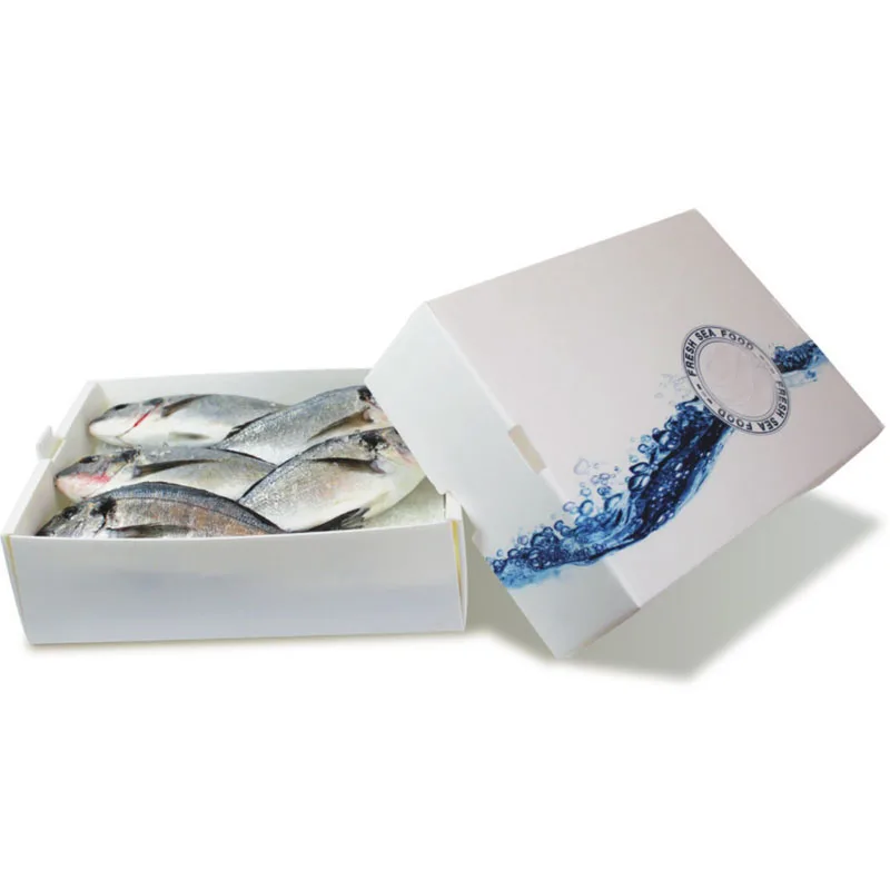 Factory Plastic PP Hollow Sheet Frozen Fish Packing Boxes