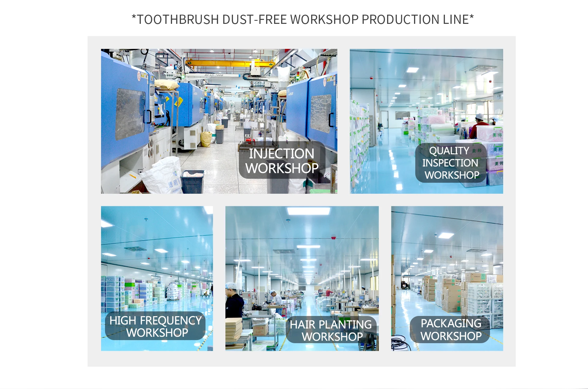 Guangdong Marbon Daily & Chemical Ltd. - Toothbrush, Electric Toothbrush