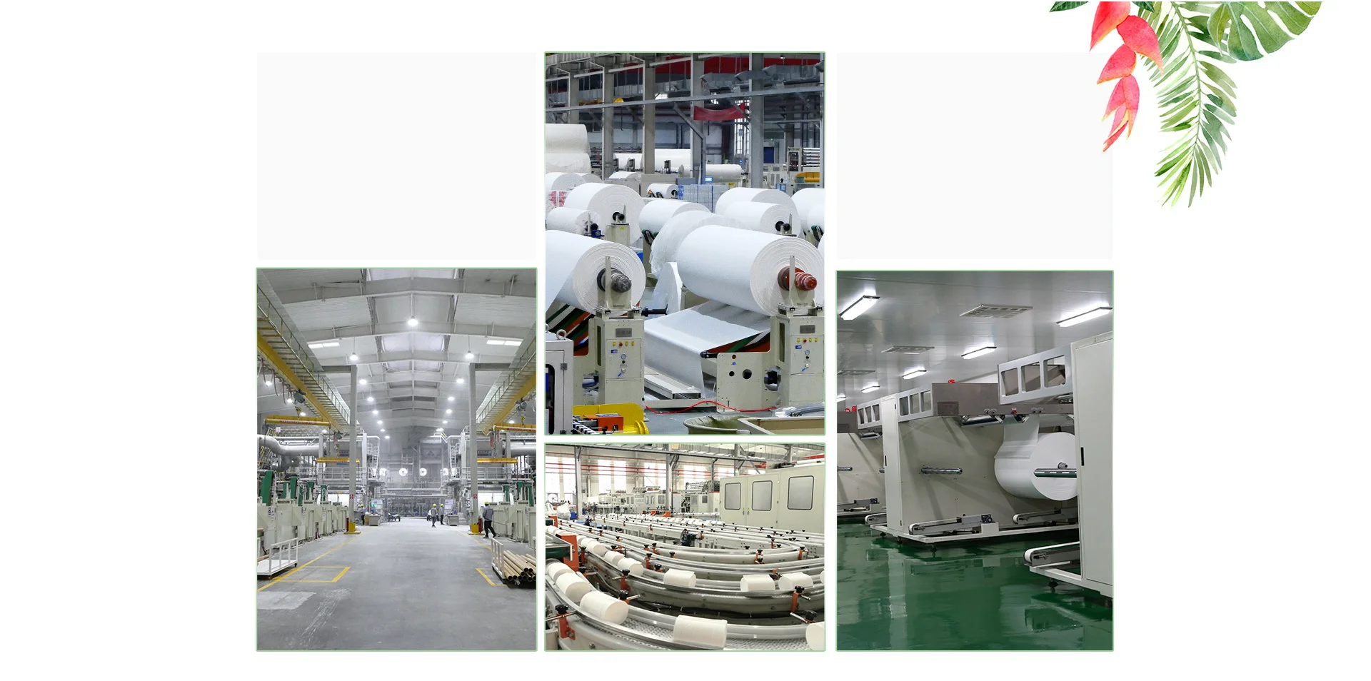 Company Overview - Hubei Libang Paper Co., Ltd