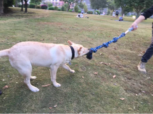 Pet Durable Stainless Steel Spring Pole Dog Rope Toys Hanging Exercise ...