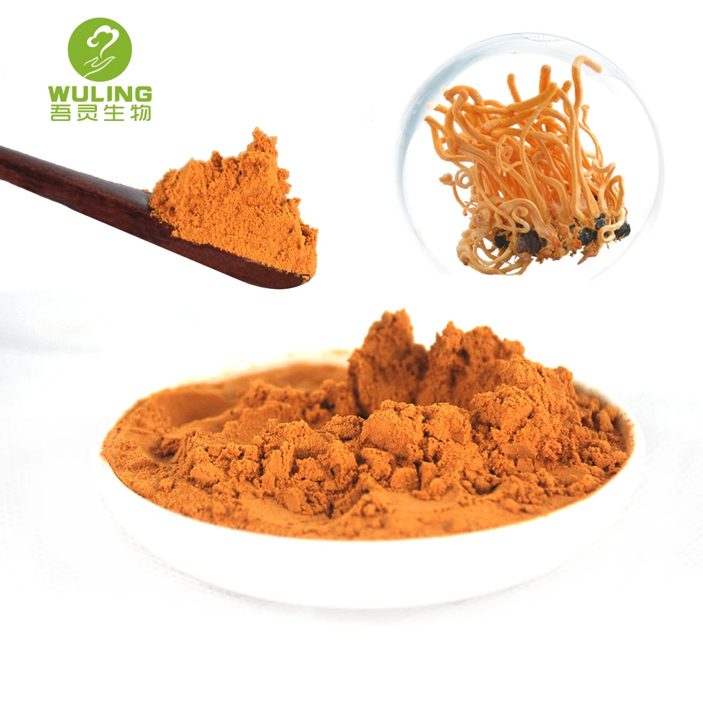 Wholesale Brand Natural Herbal Cordyceps Militaris Powder Extract - Buy ...