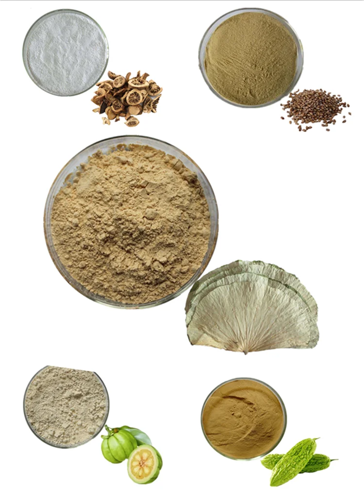 High Quality 15% Tannis Witch Hazel Extract Hamamelis Virginiana ...