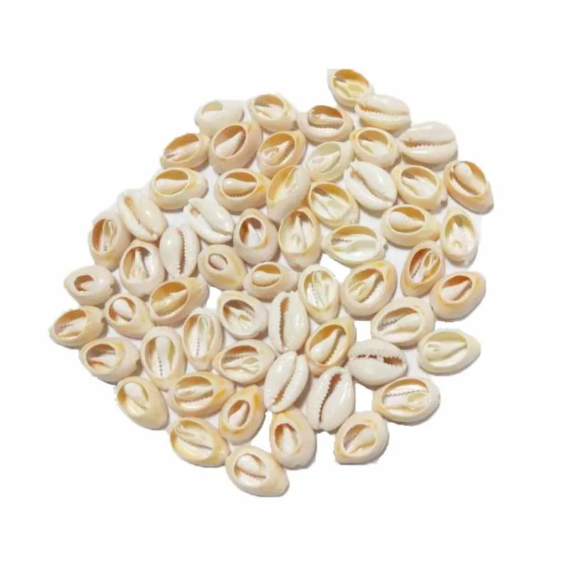 Shop Cut Golden Cowrie Shell Price - Natural Seashell Accessories