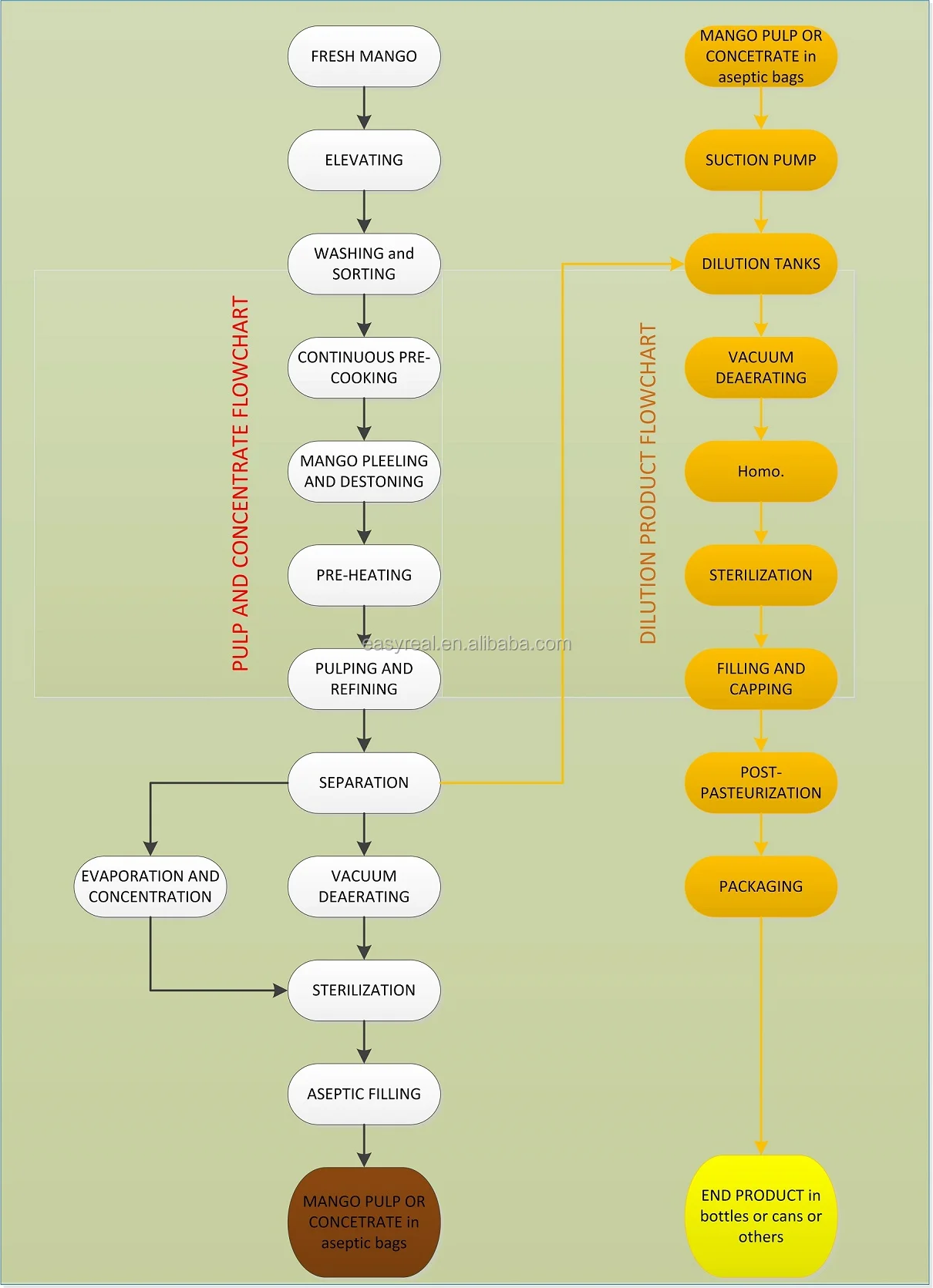 Turn-key Mango Juice Manufacture Process Mango Pulp Making Machine ...