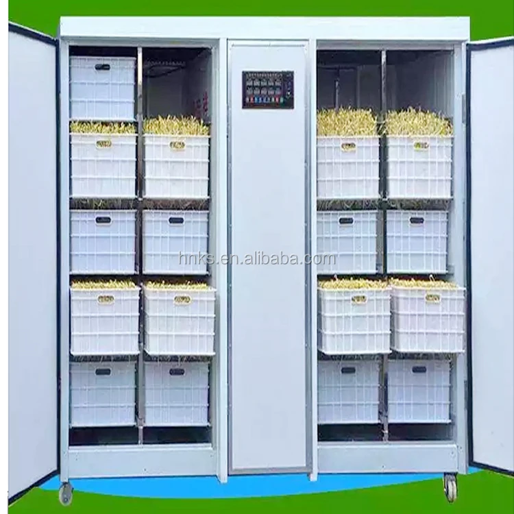 High Productivity Mung Bean Sprout Machine - 1 Year Warranty