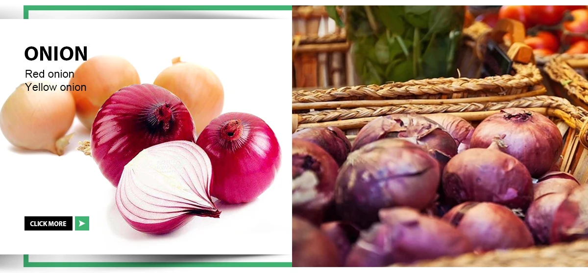 Company Overview - Jinxiang Liming Trading Co., Ltd.