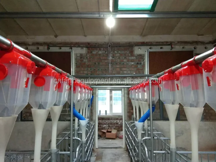 High Quality PP Plastic Drop Feeder for Pig/swine Farm