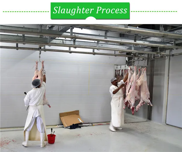 Complete Sheep Slaughter Line - Efficient & Halal Solutions