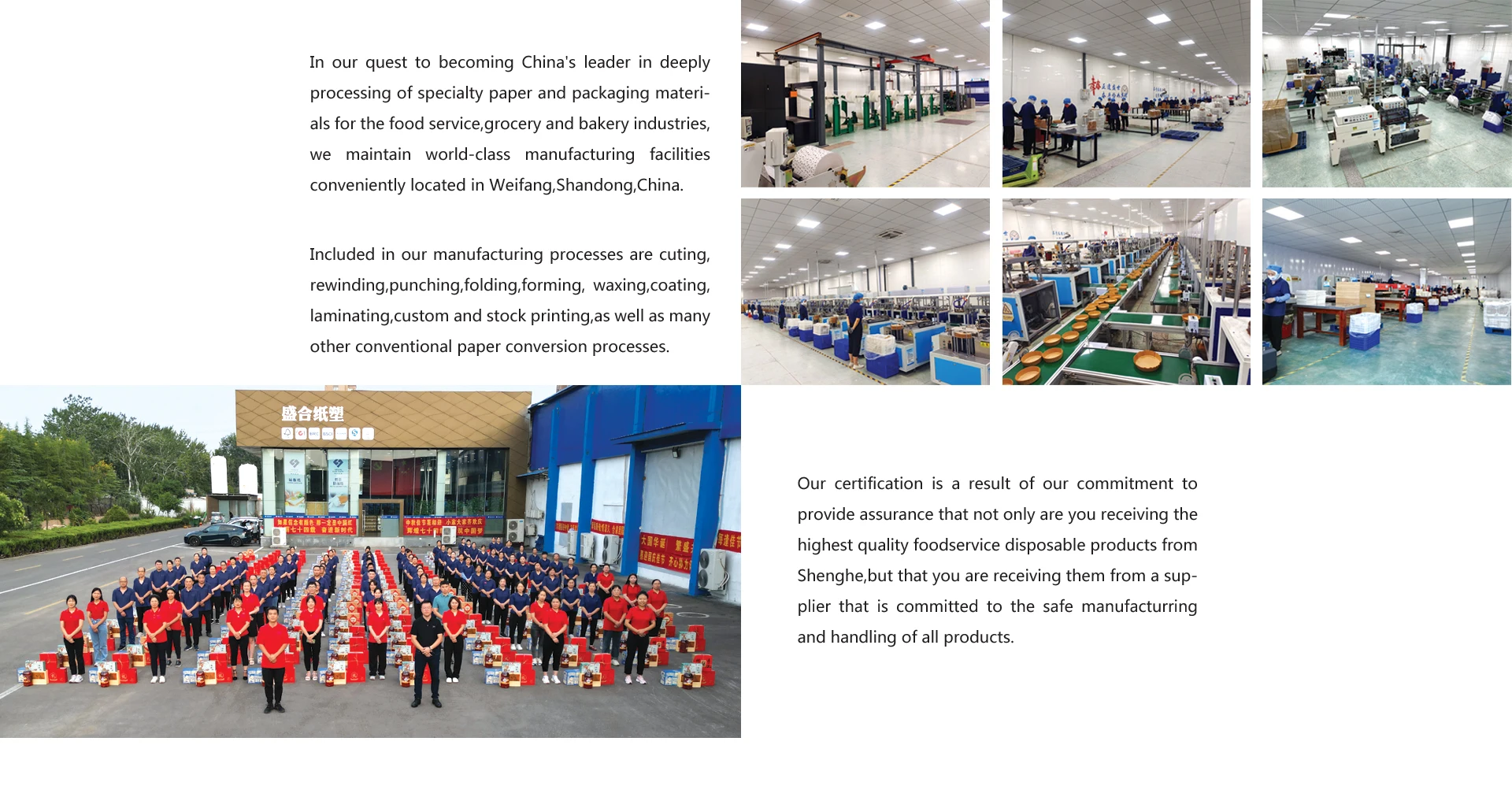 Company Overview - Shandong Shenghe Paper-Plastic Packaging Co., Ltd.