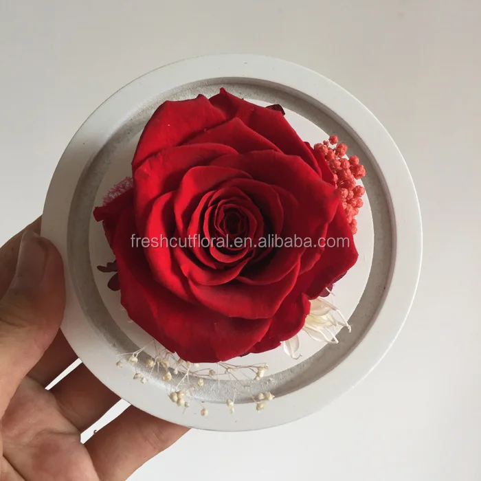Small Rose Glass Balls With Natural Preserved Rose Inside - Buy Mini ...