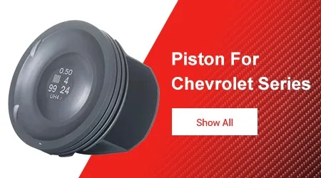 Shijiazhuang Dongyang Piston Co., Ltd. - Hyundai piston, Daewoo piston