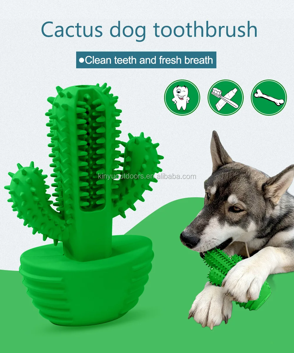 Non Toxic Natural Rubber Green Cactus Shape Teeth Cleaning Dog Squeaky ...