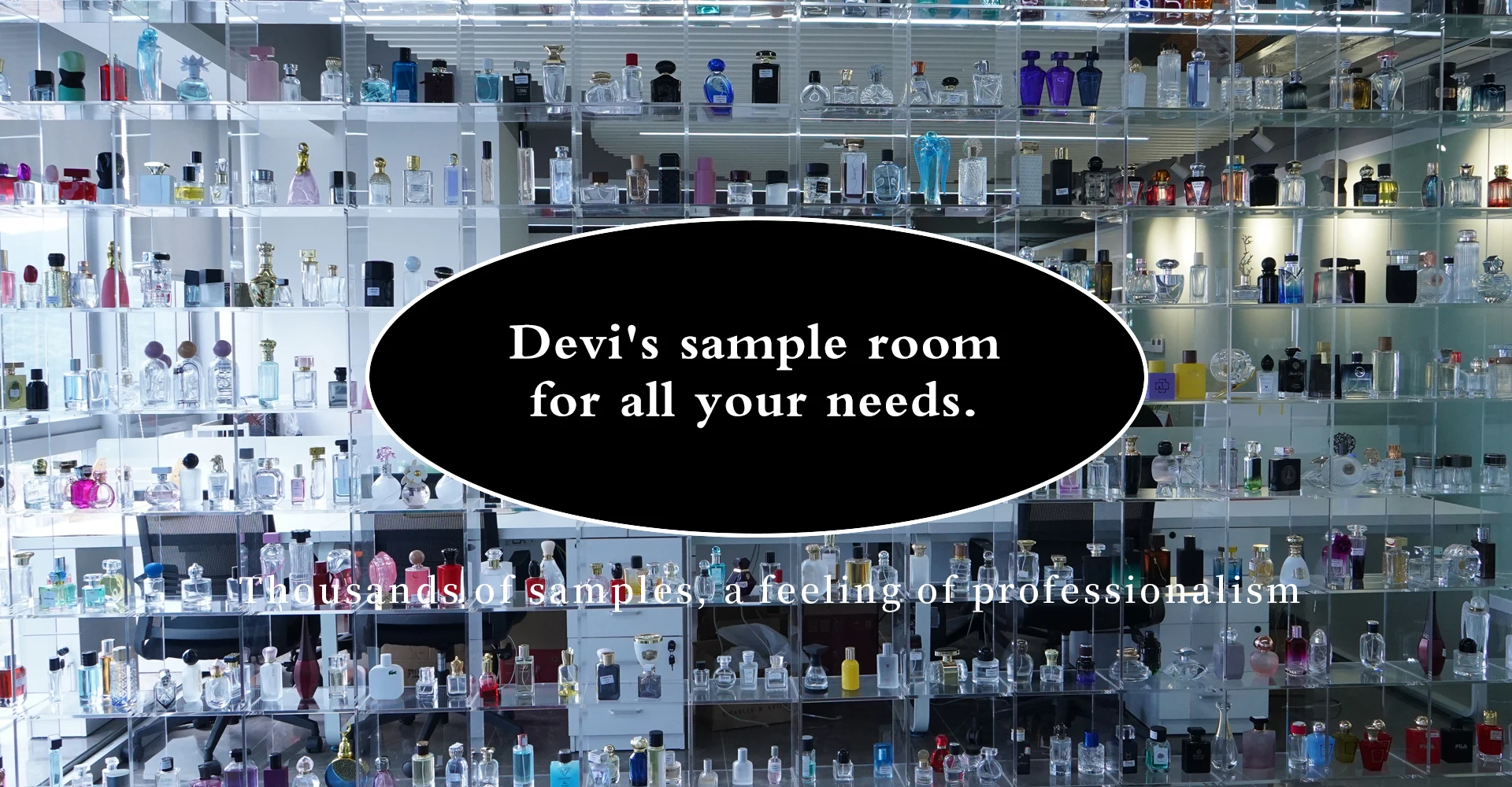 Company Overview - Guangzhou Devi Co., Ltd.