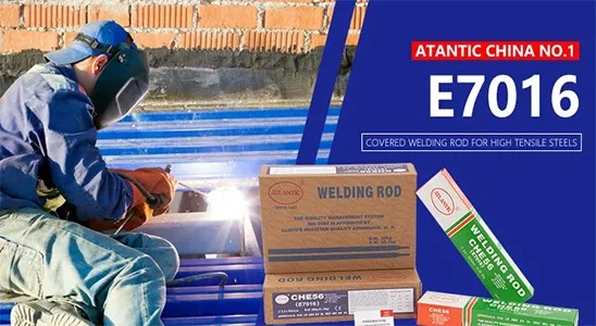 Company Overview - Guangzhou Atlantic Import And Export Co Ltd