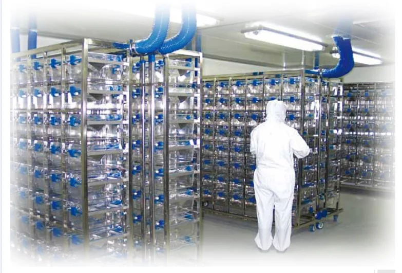 Labor IVC käfig für maus Labor Ratte & Guinea Pig IVC Käfig Touchscreen ...