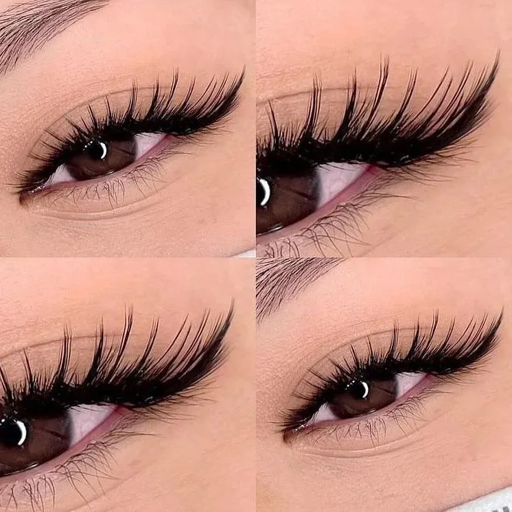 Company Overview - Qingdao Yalee Lash Cosmetic Co., Ltd.