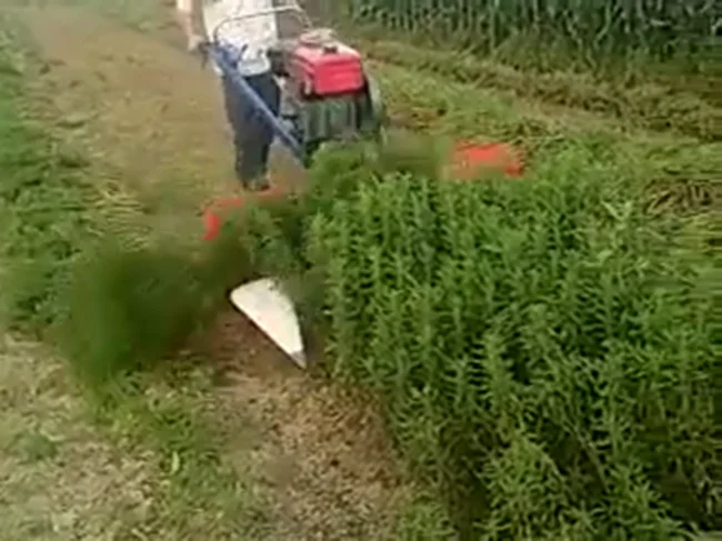 Oregano Self-propelled Automatic Mini Pea Sesame Napier Grass ...