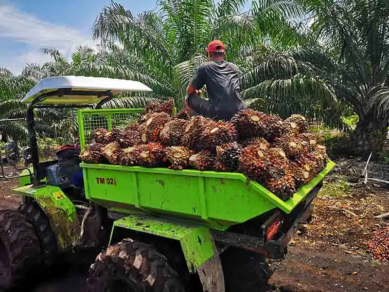 2020 Full Hydraulic Steering Palm Garden Tractor 25hp Small ...