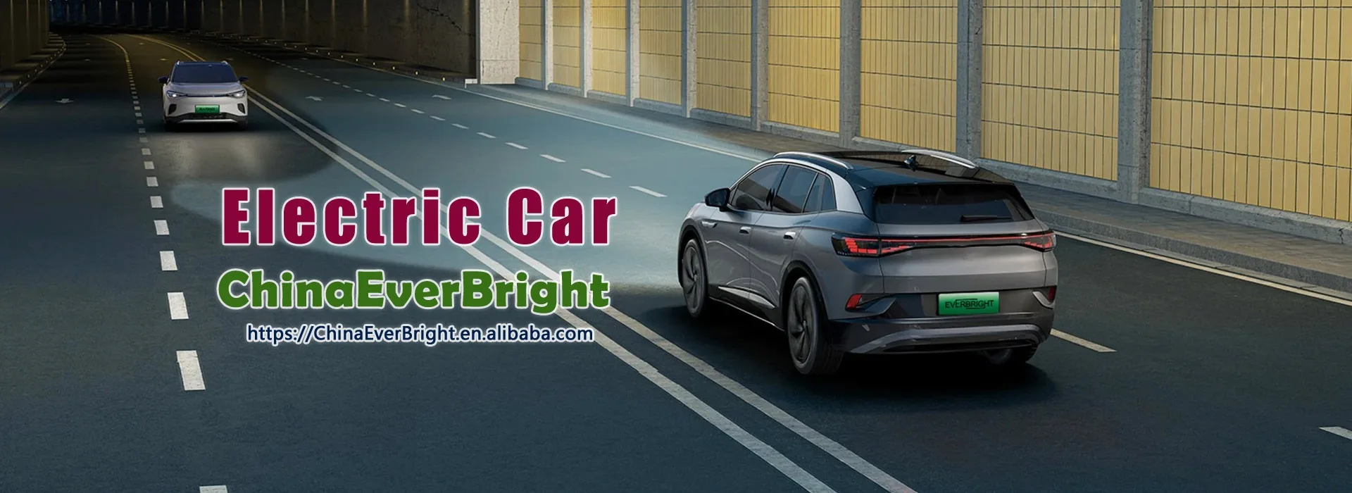 Shandong Everbright Foreign Trade Co., Ltd. - Electric Cars, New Cars