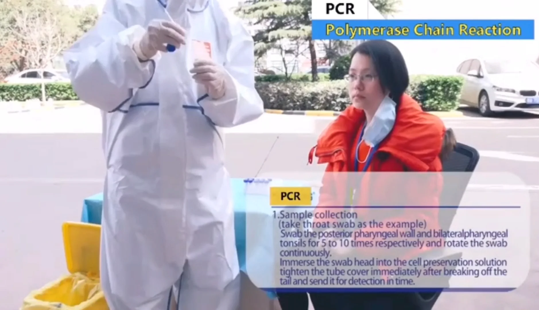 Dyes Fam Sybr Green Vic Joe Hex Tet Cy5 Liz Rox Texas Red Aby Ned Tamra ...