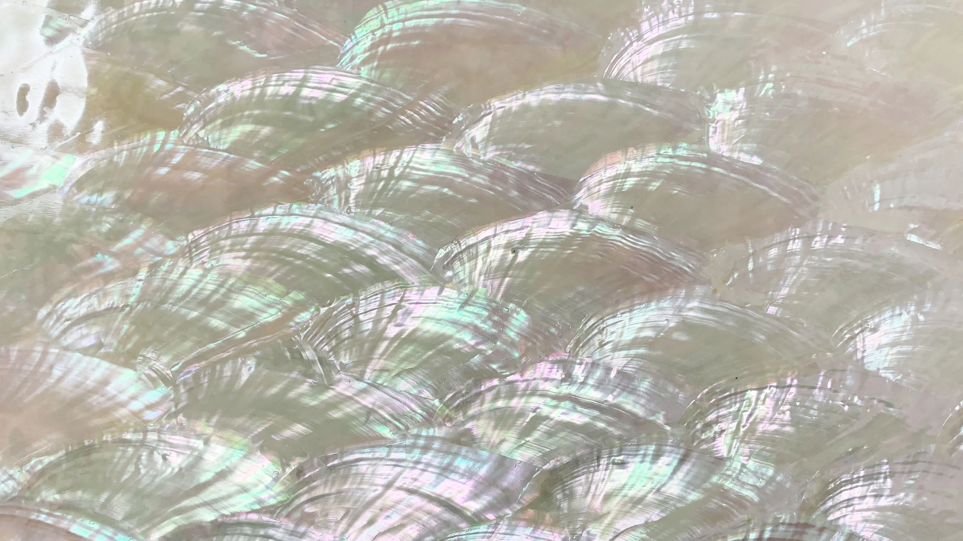 Natural Abalone Shell Sheets - Elegant Mother of Pearl