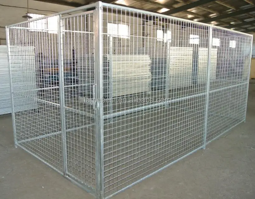 Quarantine Dog Kennels And Breeder Kennels In Hot Dipped Galvanized ...