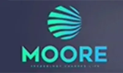 Company Overview - Langfang Moore Technology Co., Ltd.