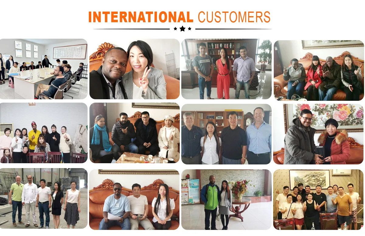 Company Overview - Shijiazhuang Always Trading Co., Ltd.