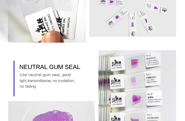 Human Pathology Slides - Educational Tools for Medical Students