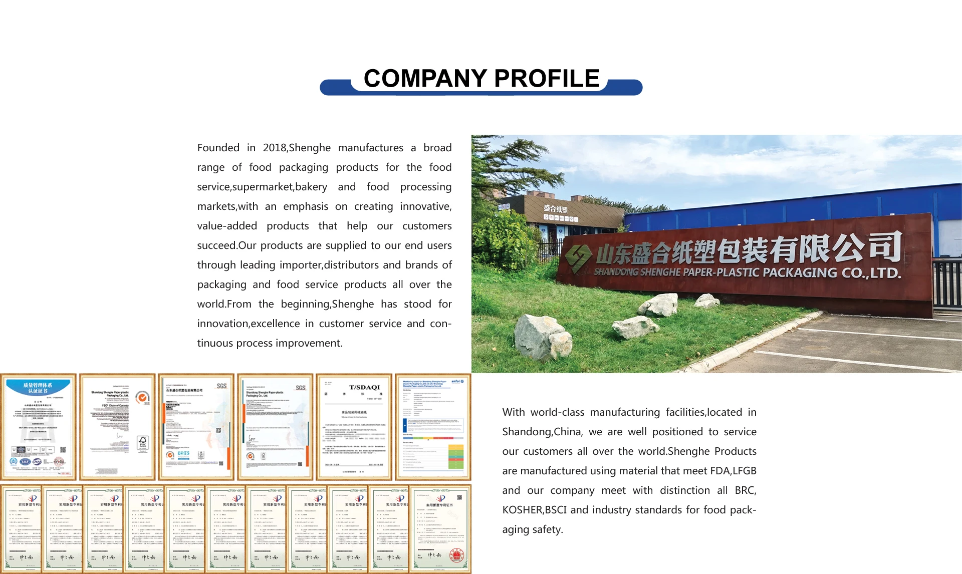 Company Overview - Shandong Shenghe Paper-Plastic Packaging Co., Ltd.